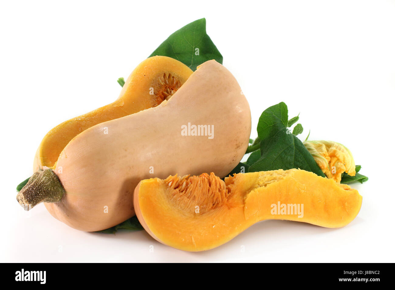 vegetable, pumpkin, green, agriculture, farming, fruit, vegetable ...