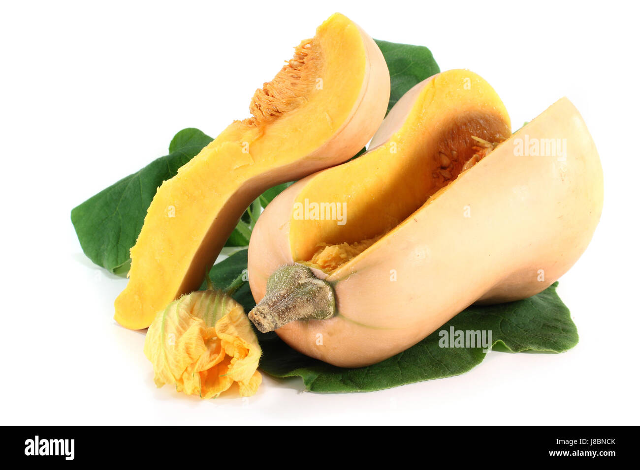 vegetable, pumpkin, green, agriculture, farming, fruit, vegetable ...