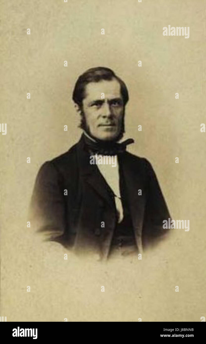 Julius Thomsen 1826 1909 2 Stock Photo - Alamy