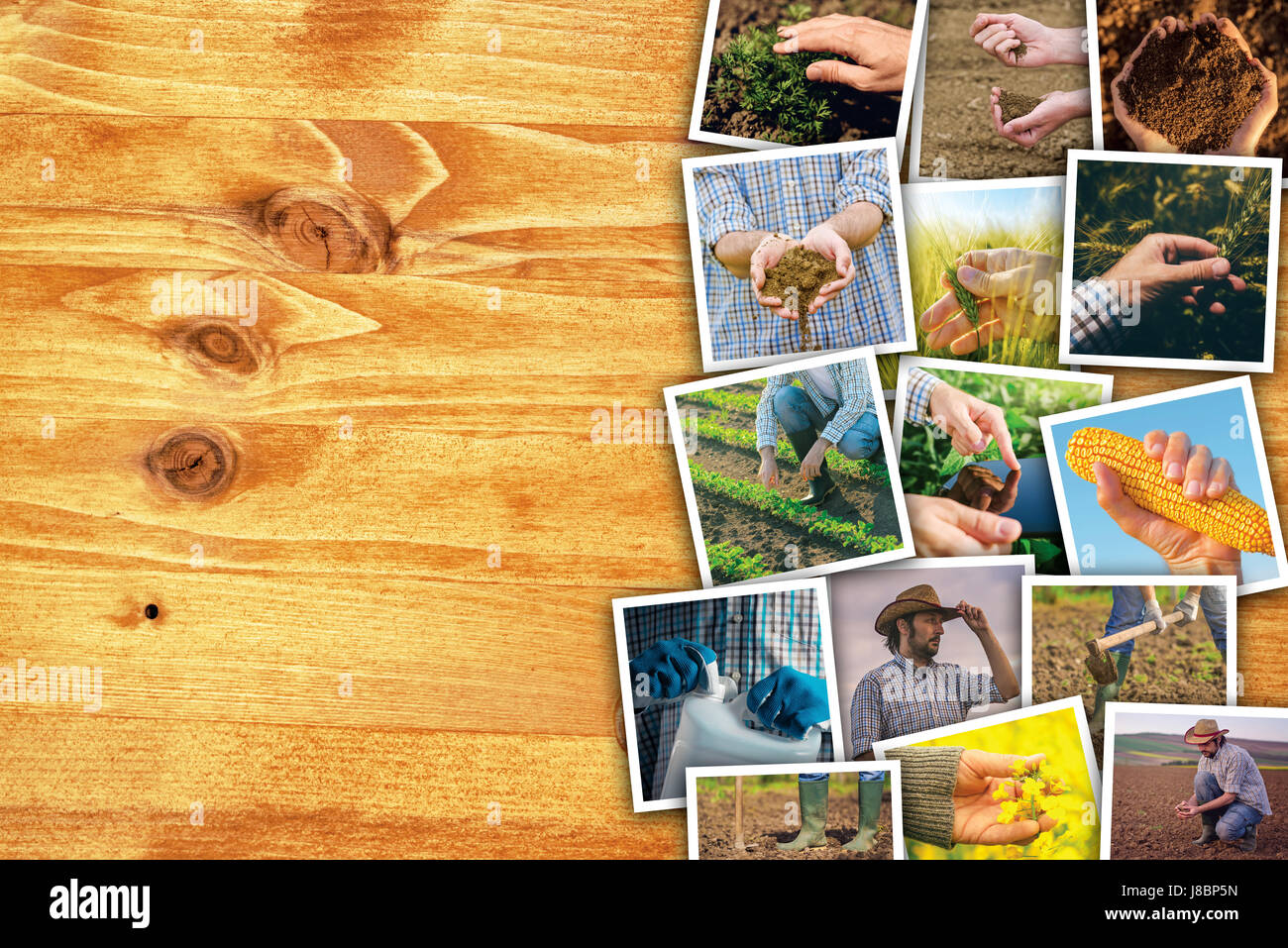 Man in farming and agriculture, photo collage with copy space of many ...