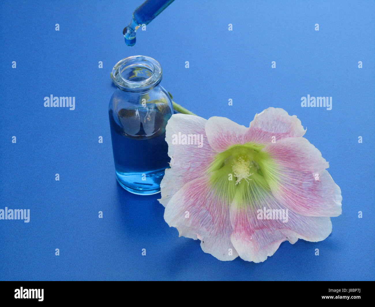 blue, liquid, eco, cure, healer, tincture, drop, drip, drops, seeping ...