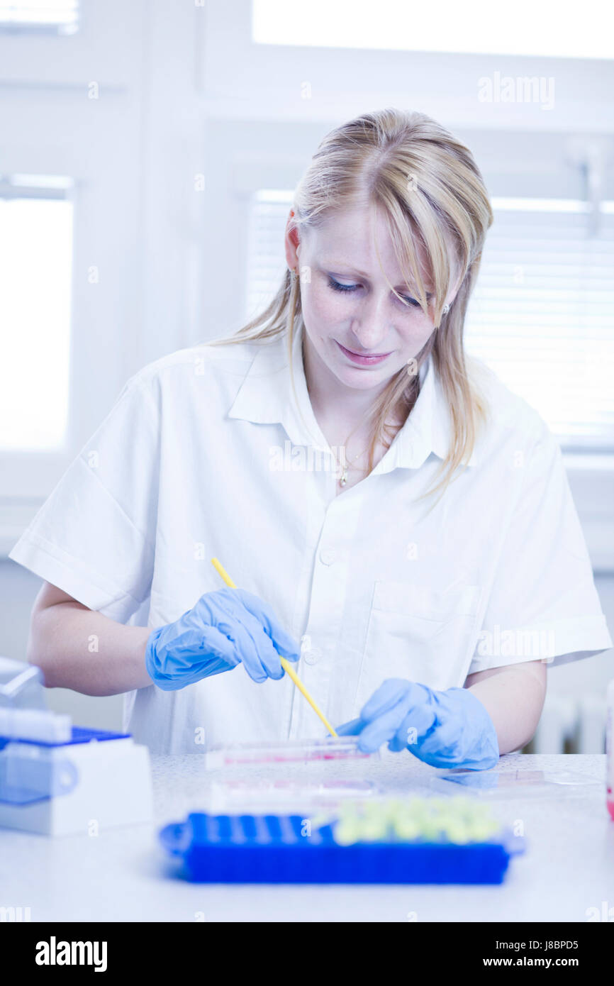 woman, experiment, female, research, laboratory, chemistry, researcher ...