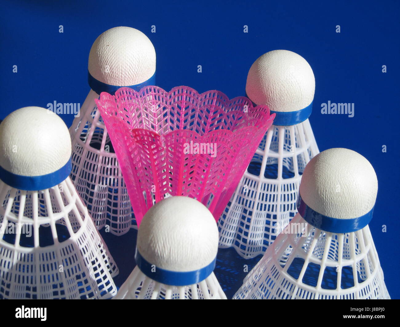 ball, ball sport, shuttlecock, balls, sports goods, stand, blue, sport ...