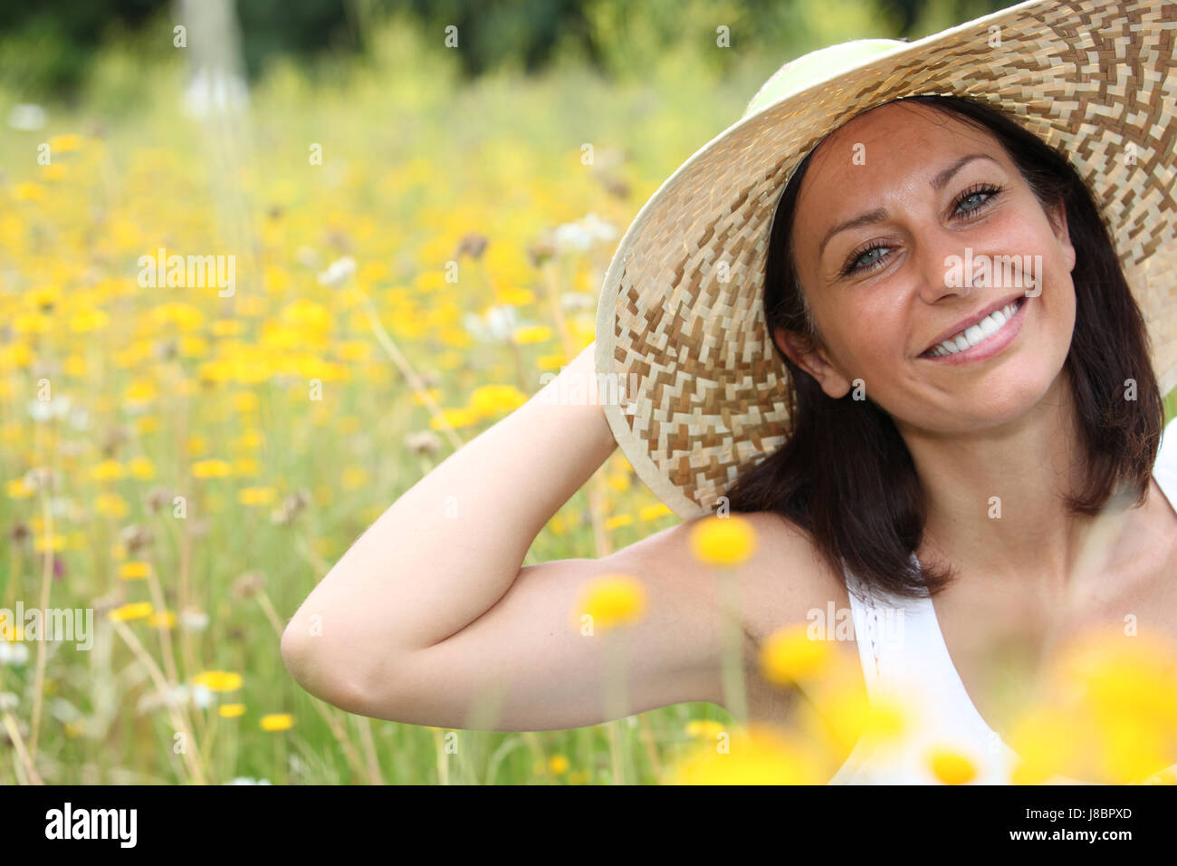wild, field, flower, flowers, plant, summer, summerly, rural, scenery Stock Photo - Alamy