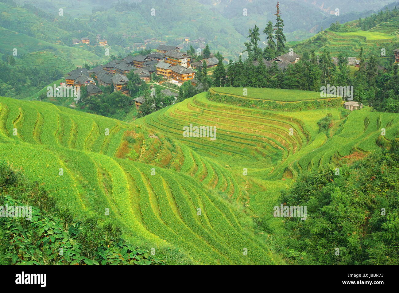 house, building, agricultural, tree, industry, asia, agriculture ...