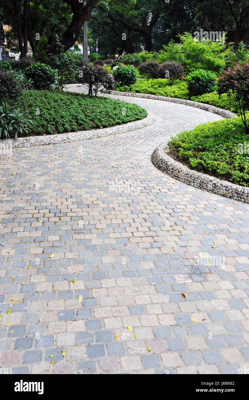 tree, garden, leaves, pavement, outdoor, bush, route, vertical ...