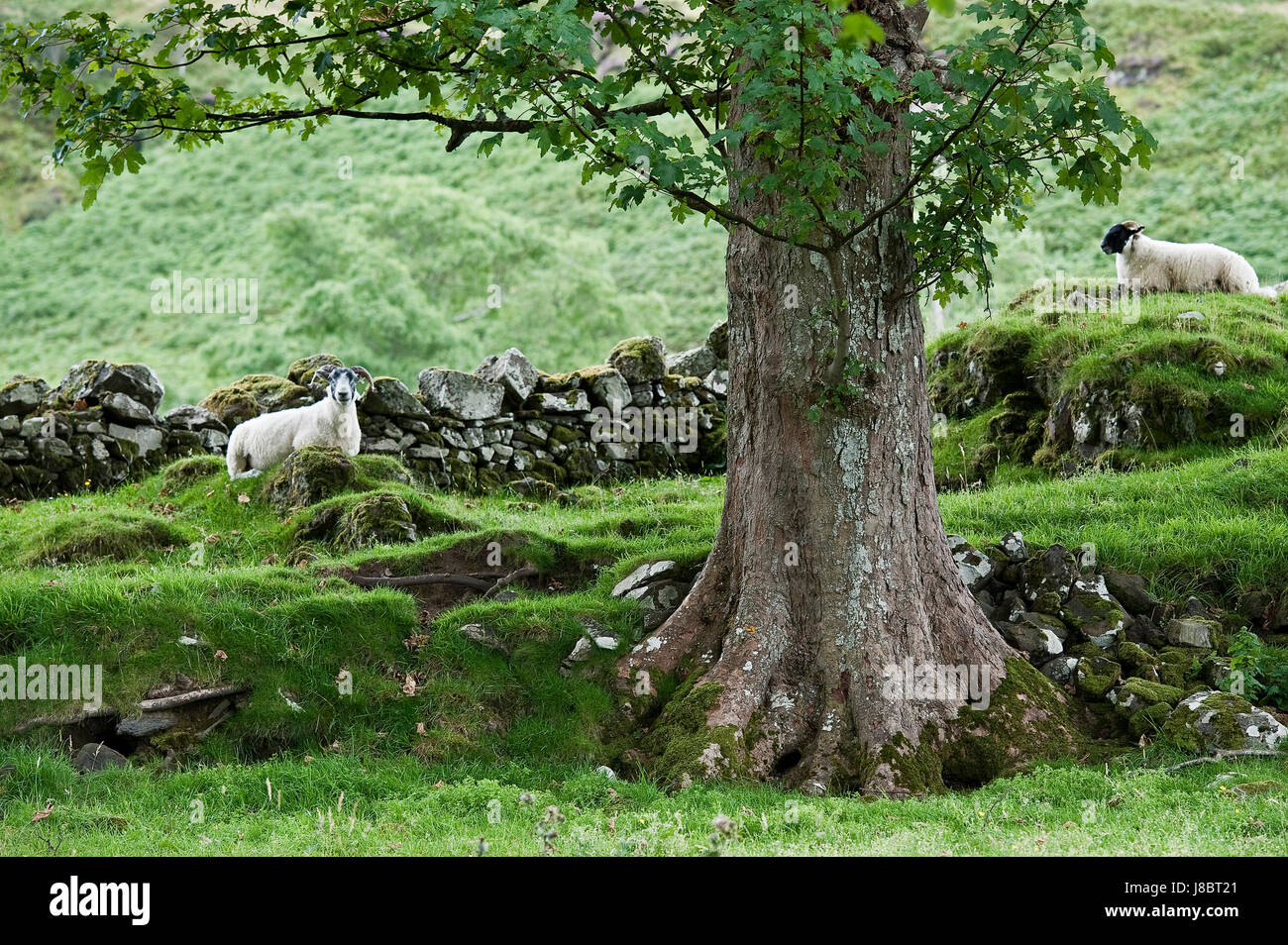 Walking_tour hi-res stock photography and images - Alamy
