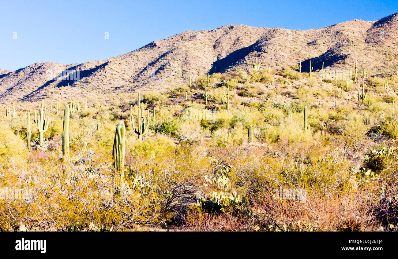 usa, landscape, scenery, countryside, nature, travel, desert, wasteland ...