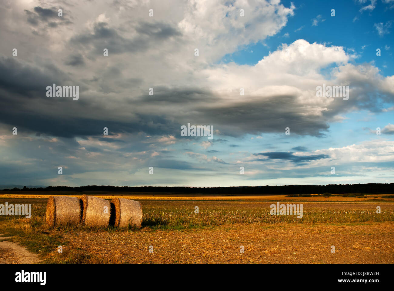 field, acre, cultivation, scenery, countryside, nature, harvest, profit ...