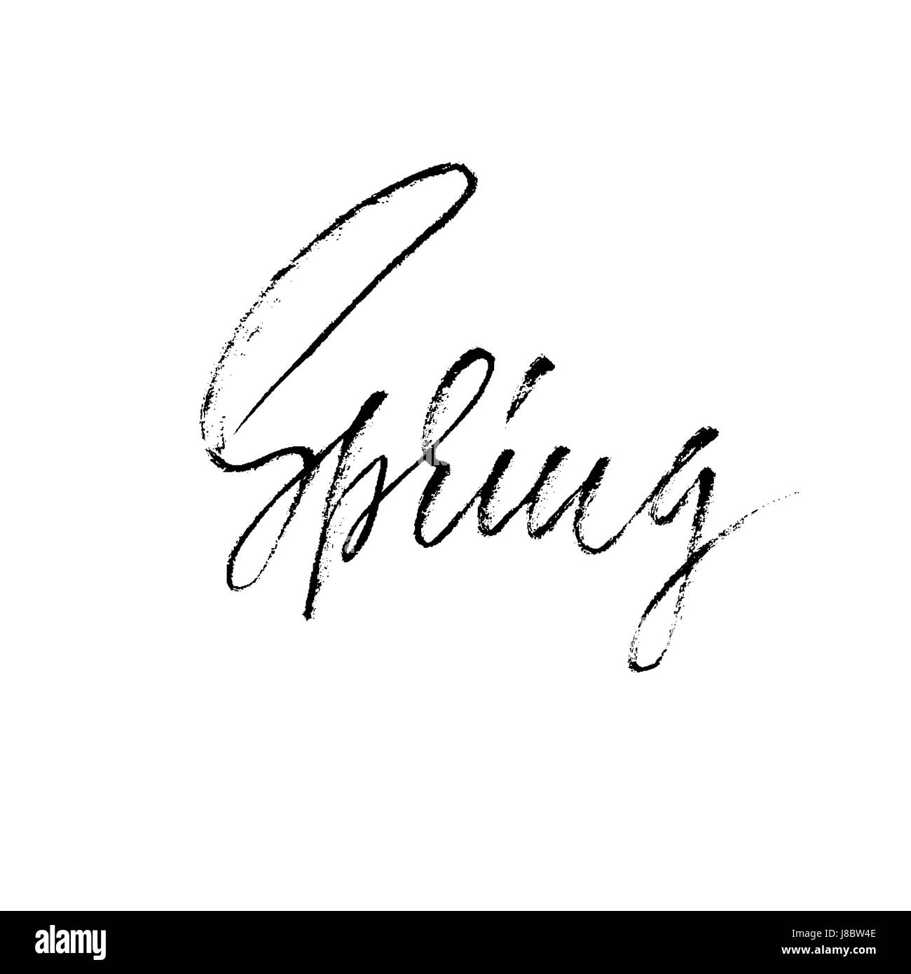 Handwritten lettering. Spring. Hand drawn calligraphy letters. Vector ...