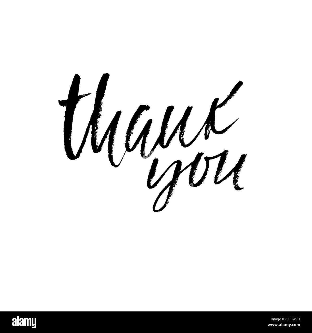 Thank You handwritten inscription. Hand drawn modern dry brush ...