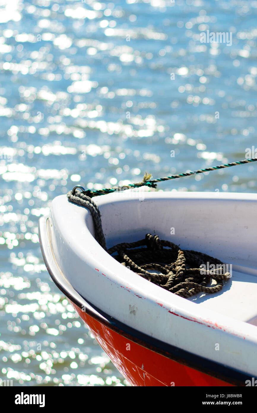 summer, summerly, water, baltic sea, salt water, sea, ocean, dew, shine ...