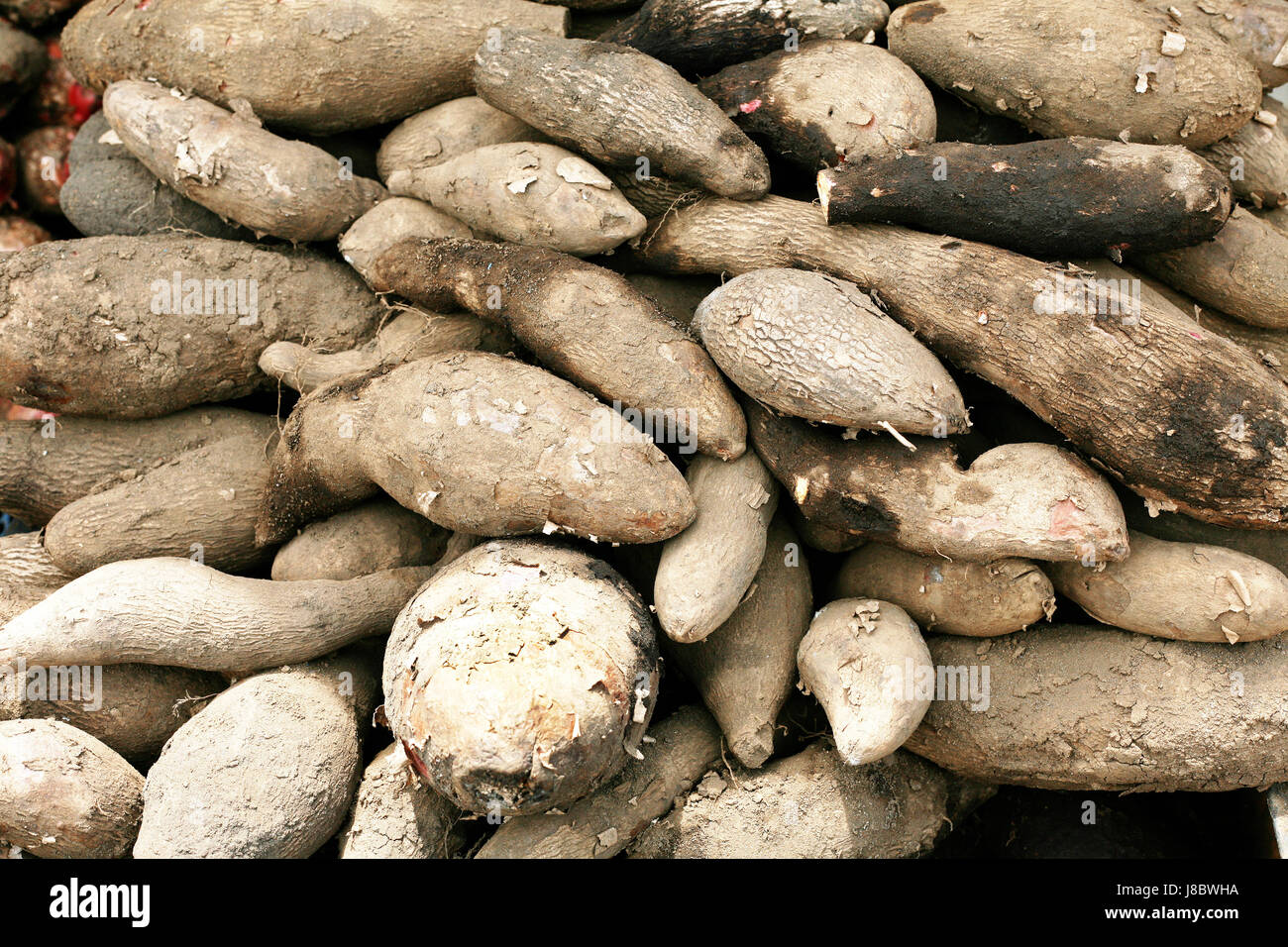 food, aliment, leaf, objects, big, large, enormous, extreme, powerful ...