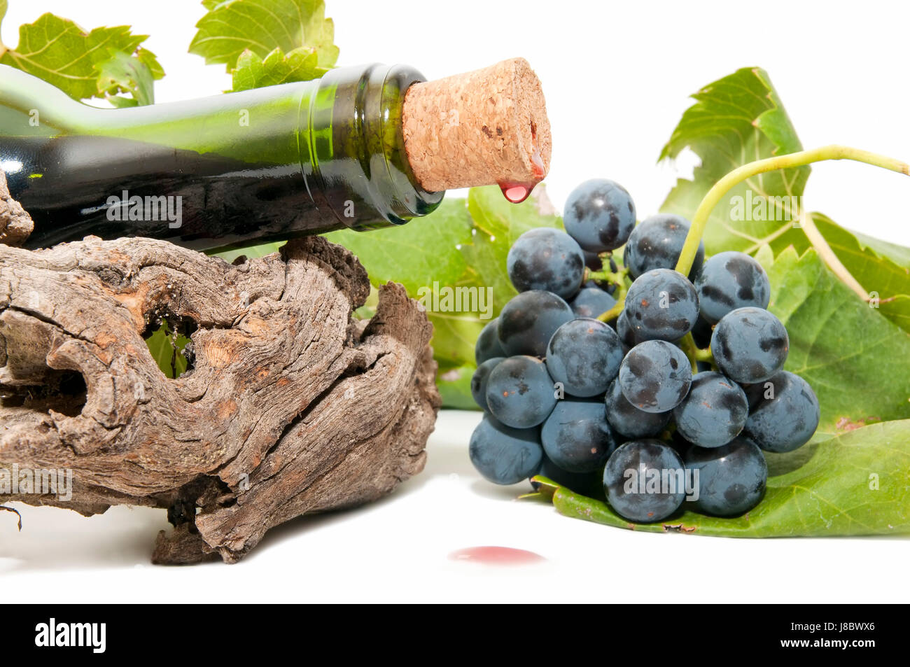 still life, drinks, wine, alcohol, still life, drinks, liquid, green ...