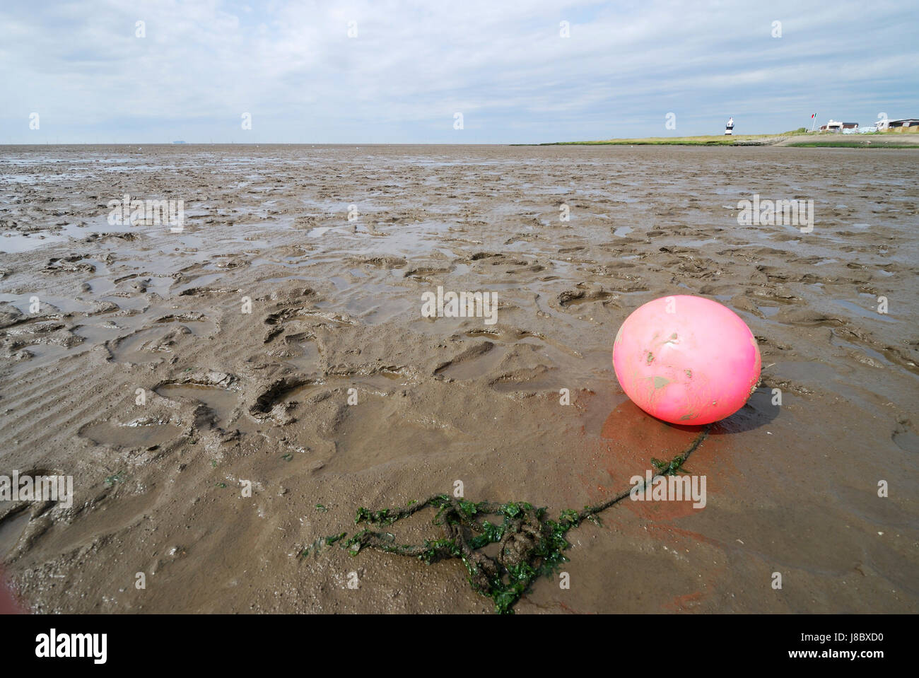 horizon, beach, seaside, the beach, seashore, coast, mud, calm, tides ...