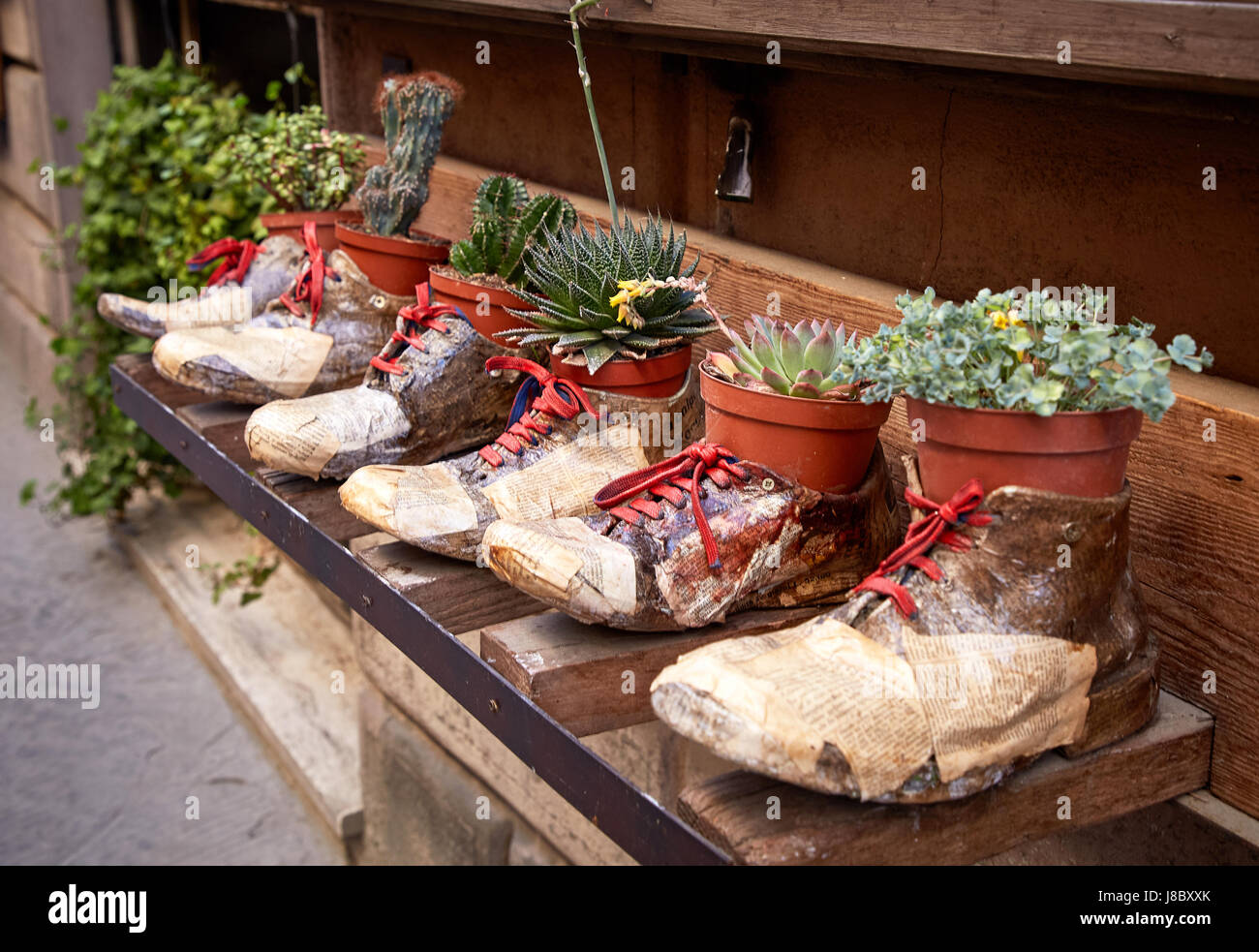 Decorative shoe flower pots hi-res stock photography and images - Alamy