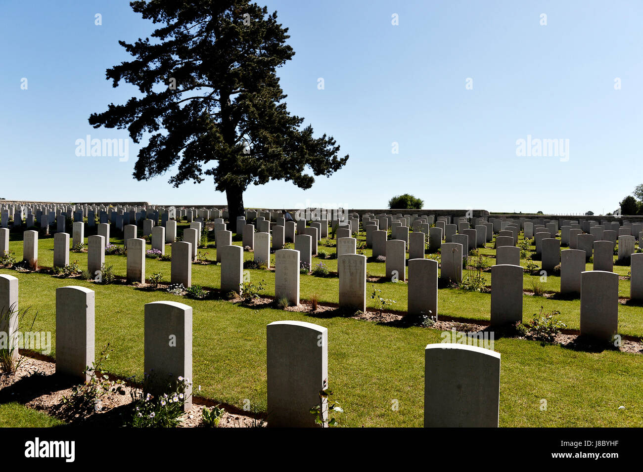 Headstones at First World War One cemetery of Chinese Labour Corps ...