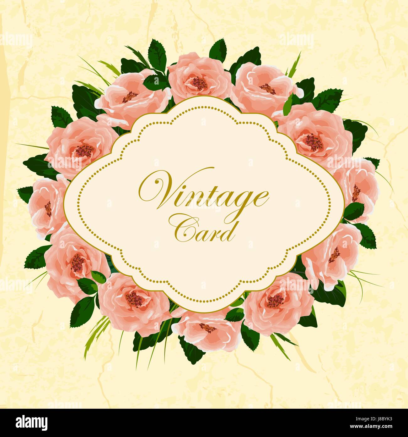 Orange and cream flowers Stock Vector Images - Alamy