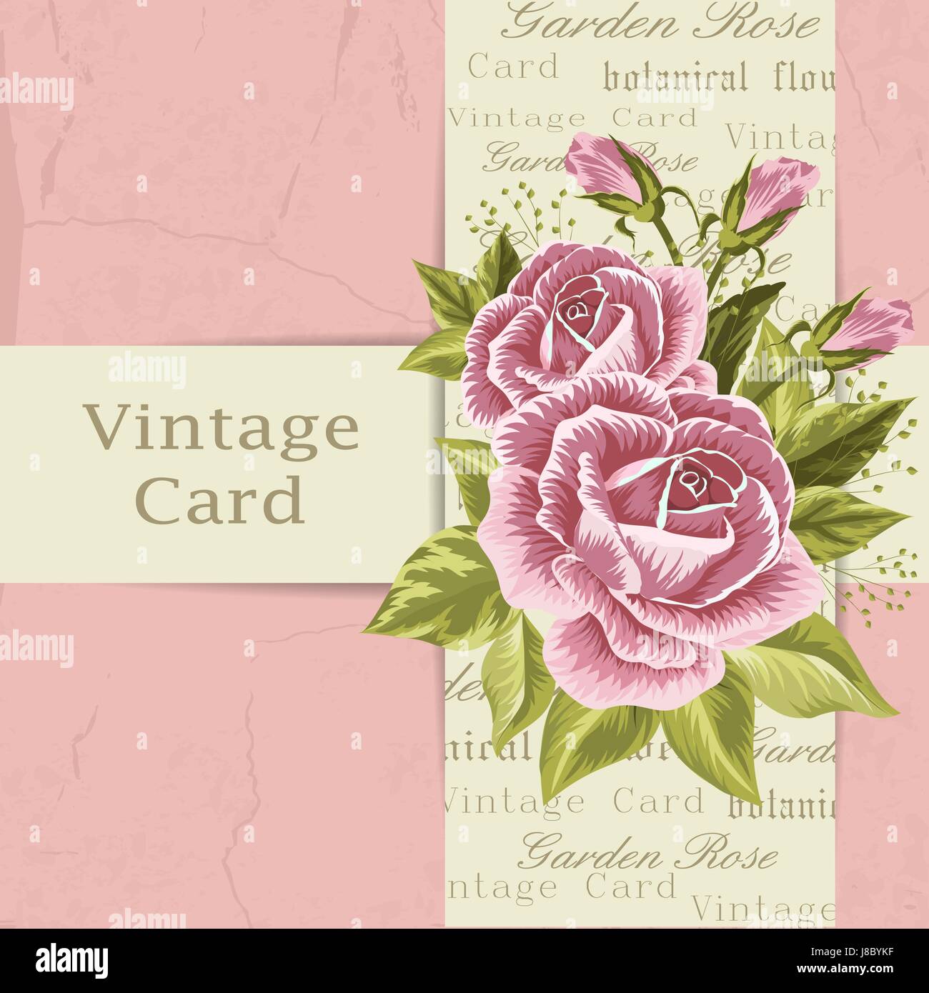 Vintage ribbon and leaves Stock Vector Images - Alamy