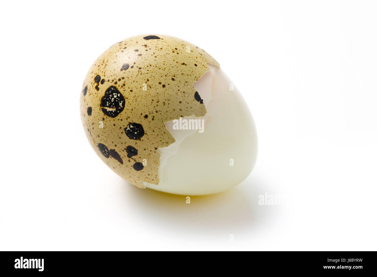 food, aliment, isolated, bird, raw, egg, quail, ingredient, white, food ...