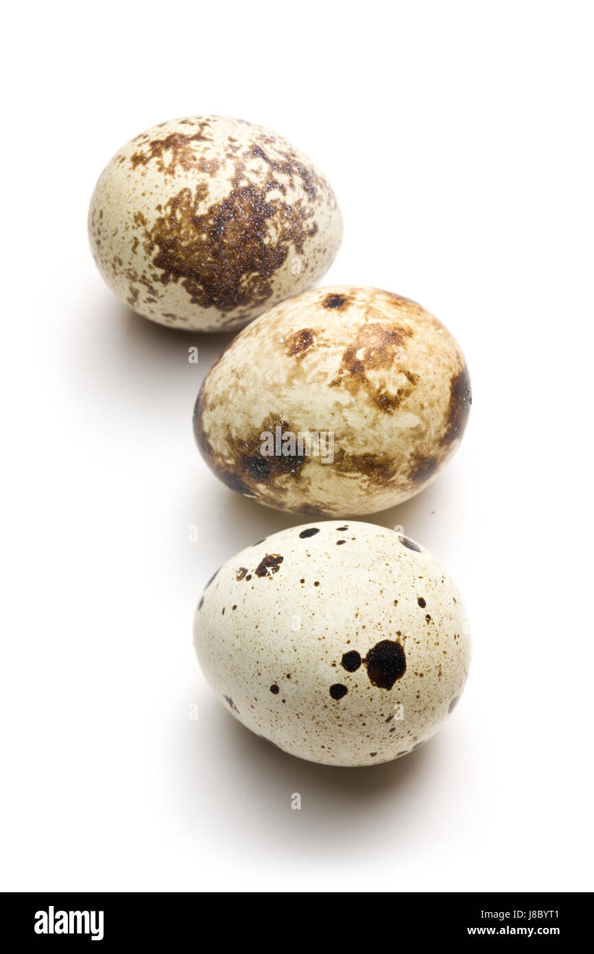 food, aliment, isolated, bird, raw, egg, quail, ingredient, white, food ...