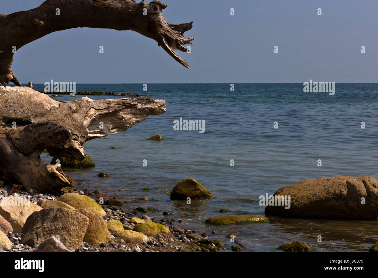 to reprimand Stock Photo - Alamy