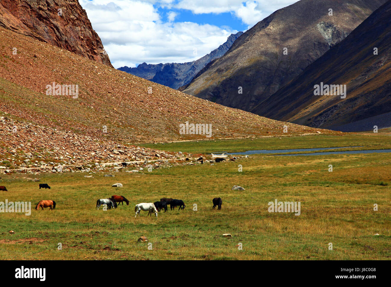 Yeti himalayas hi-res stock photography and images - Alamy