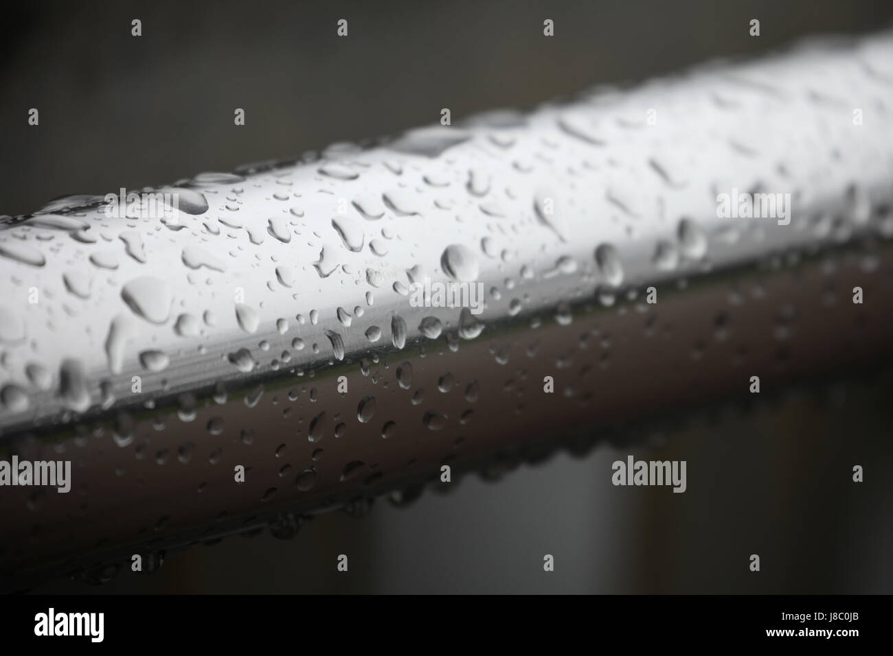 cold, metal, wet, railing, slippery, rain, raining, fall, autumn, cold ...