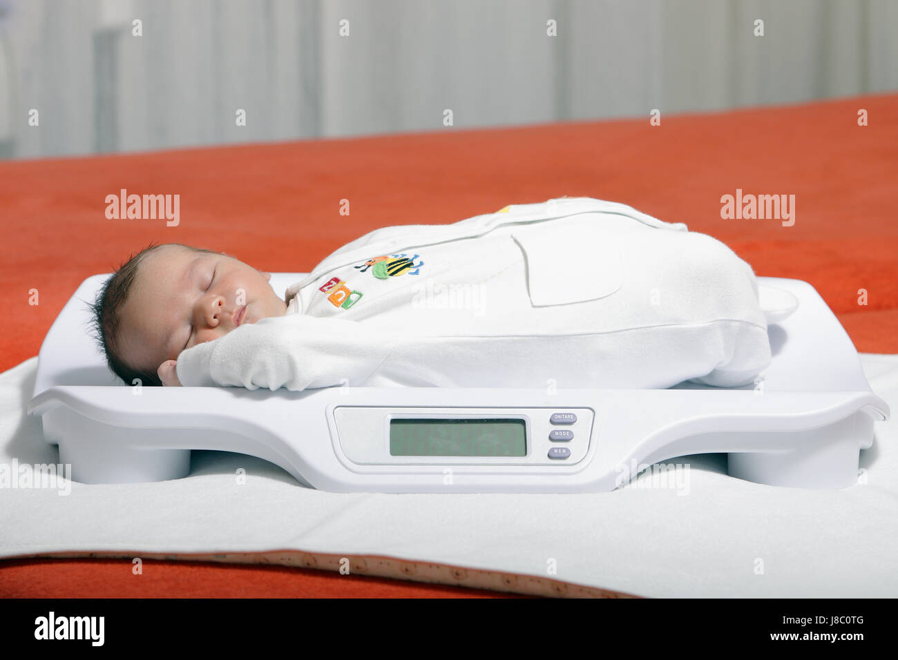 baby, weigh, weight, weighting, boy, lad, male youngster, newborn child ...