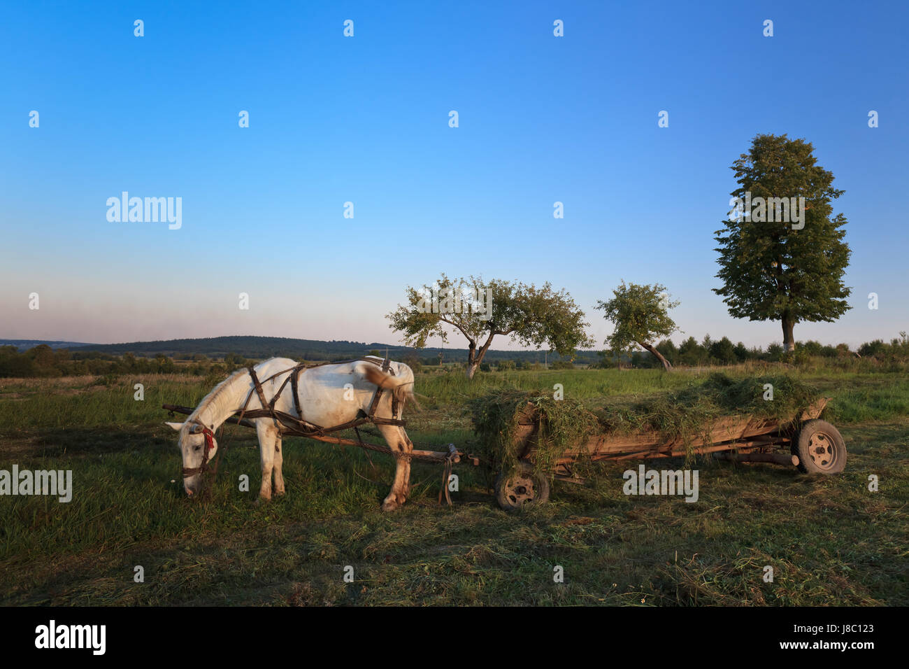 culture, traffic, transportation, agriculture, farming, field ...