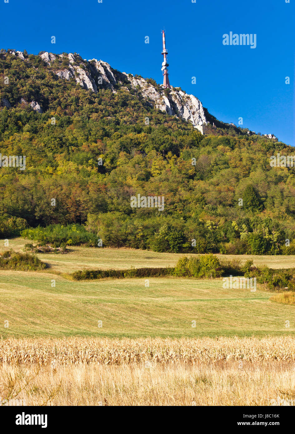 tower, wood, rock, television, tv, televisions, mountain, forest, sign ...