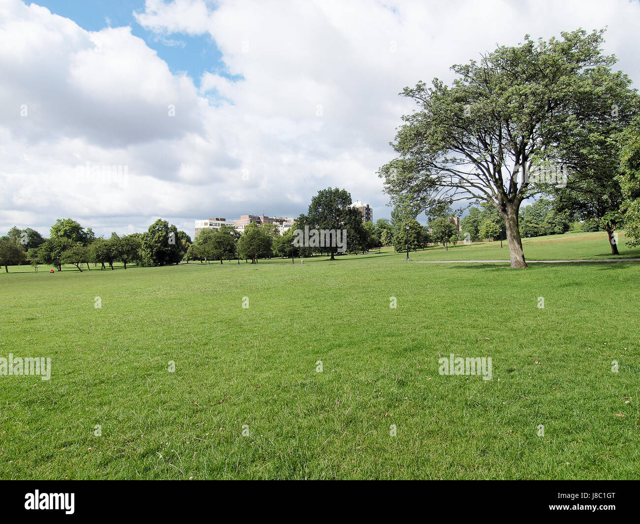 blue, europe, england, british, britain, english, meadow, grass, lawn ...