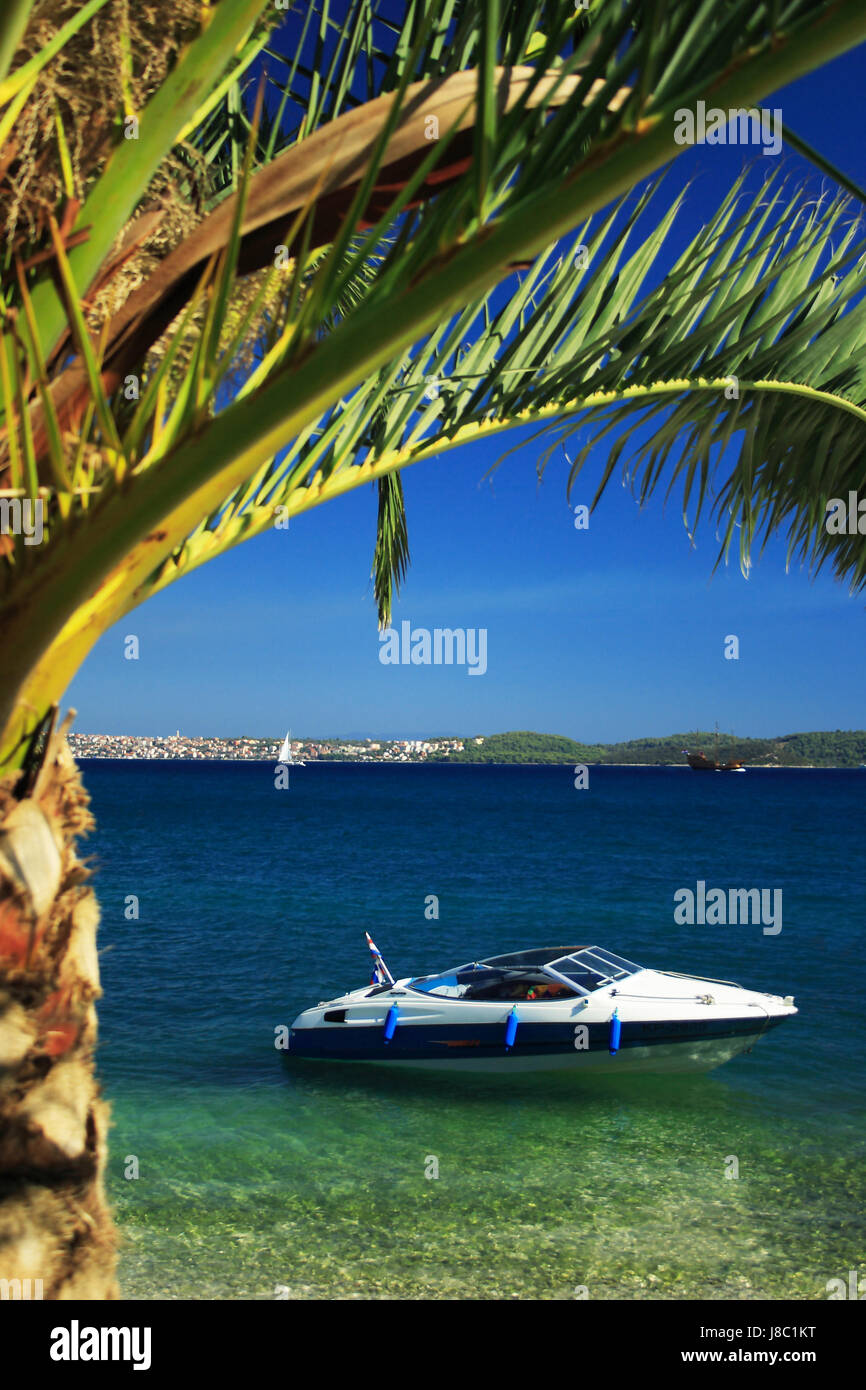 beach, seaside, the beach, seashore, look, glancing, see, view, looking ...