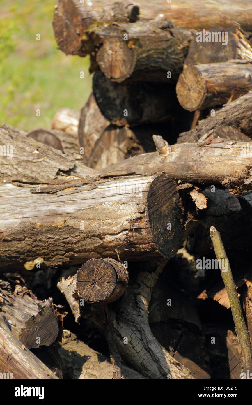 wood, outdoor, stack, stacked, dried, hardwood, piece, section, segment ...