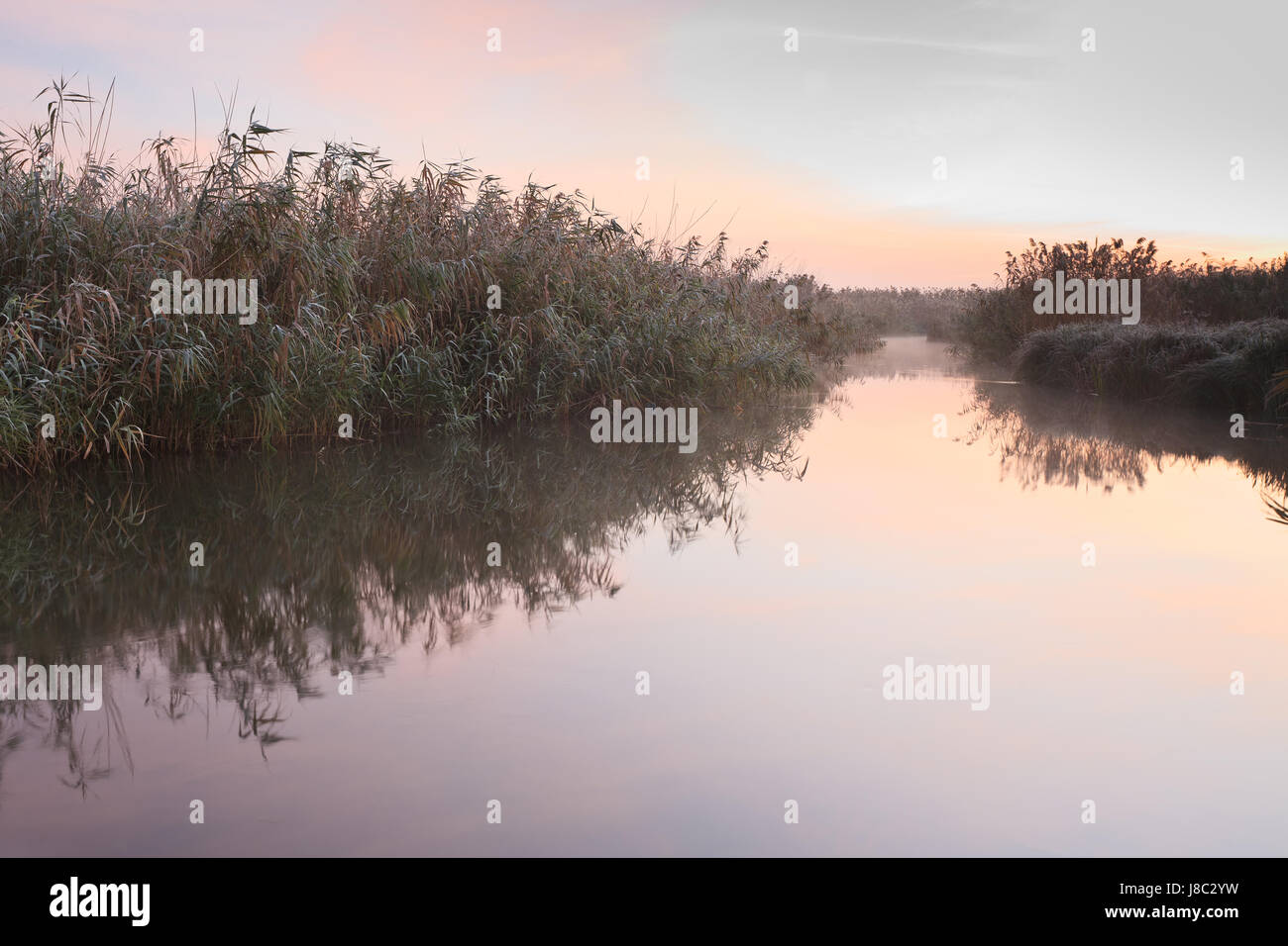 horizon, sunset, sunrise, reflection, reflections, morning, fresh water ...