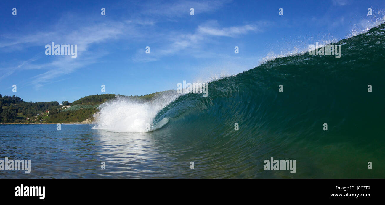 big, large, enormous, extreme, powerful, imposing, immense, relevant ...