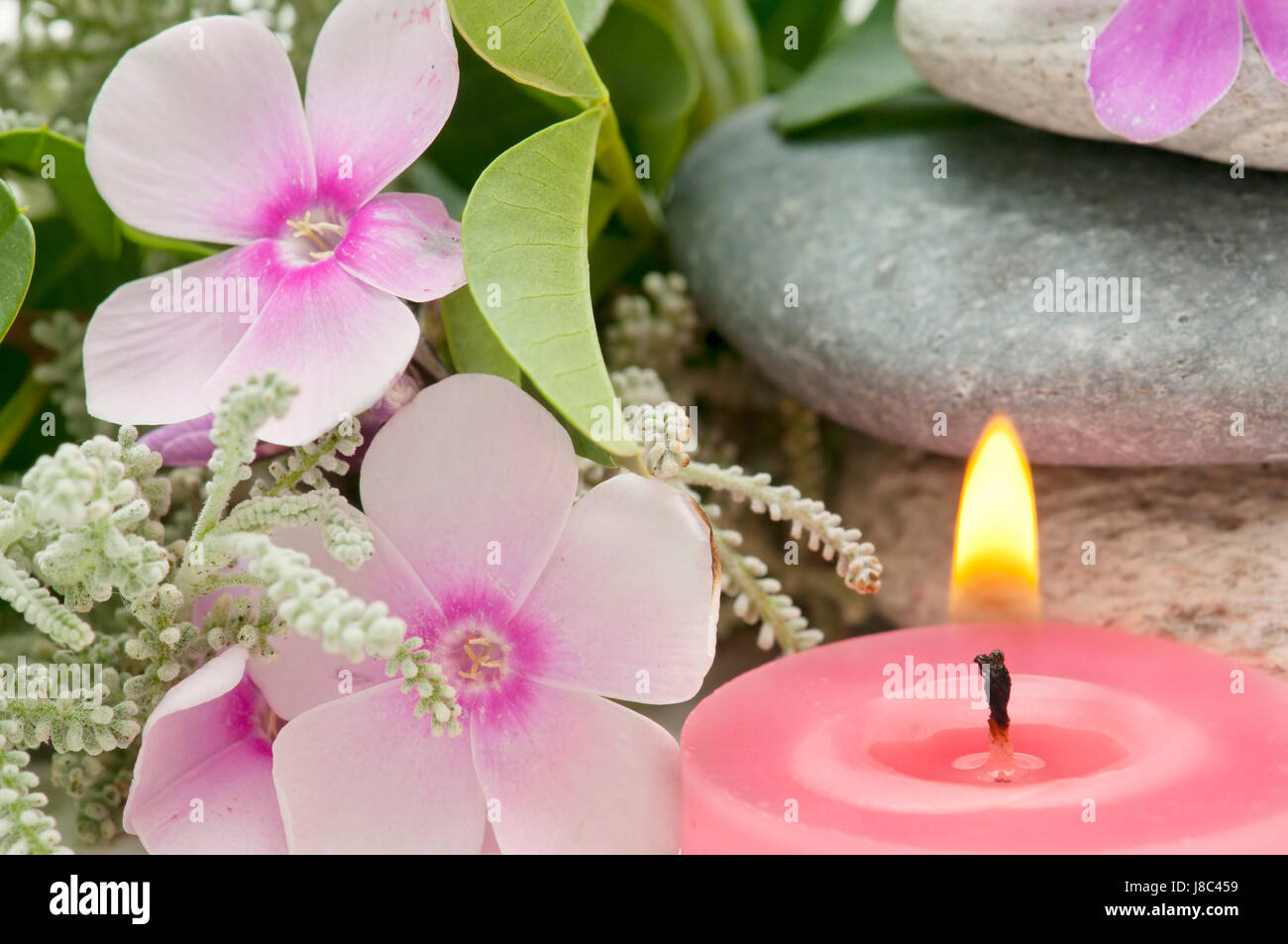 perfume, fragrance, rocks, spa, mineral spring, medicinal spring, oil ...