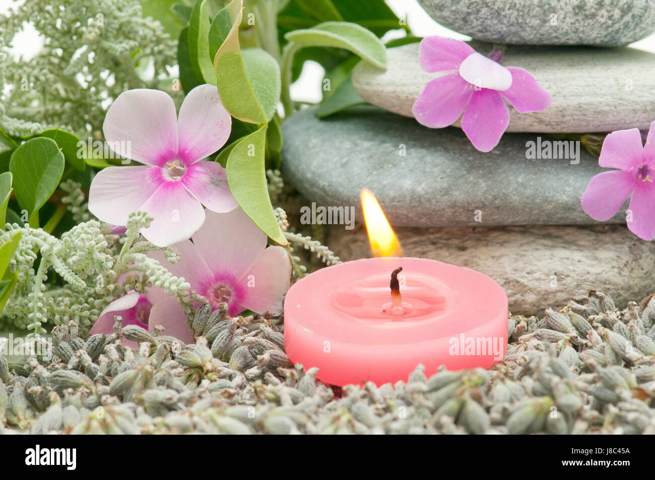 perfume, fragrance, rocks, spa, mineral spring, medicinal spring, oil ...