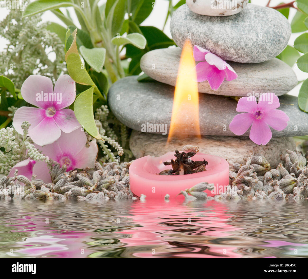perfume, reflections, fragrance, spa, mineral spring, medicinal spring ...
