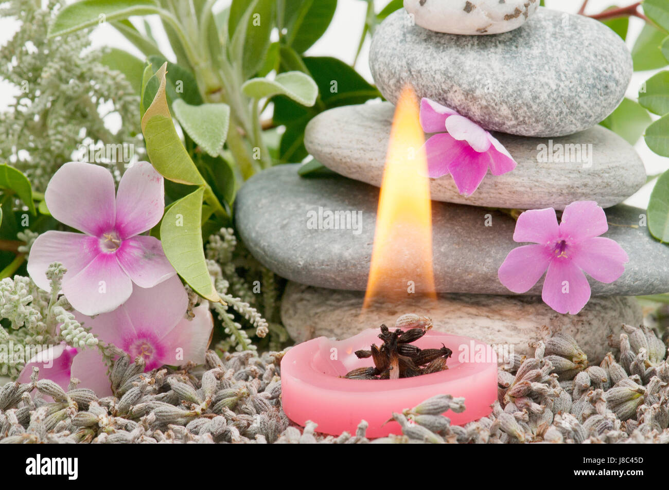 perfume, fragrance, rocks, spa, mineral spring, medicinal spring, oil ...