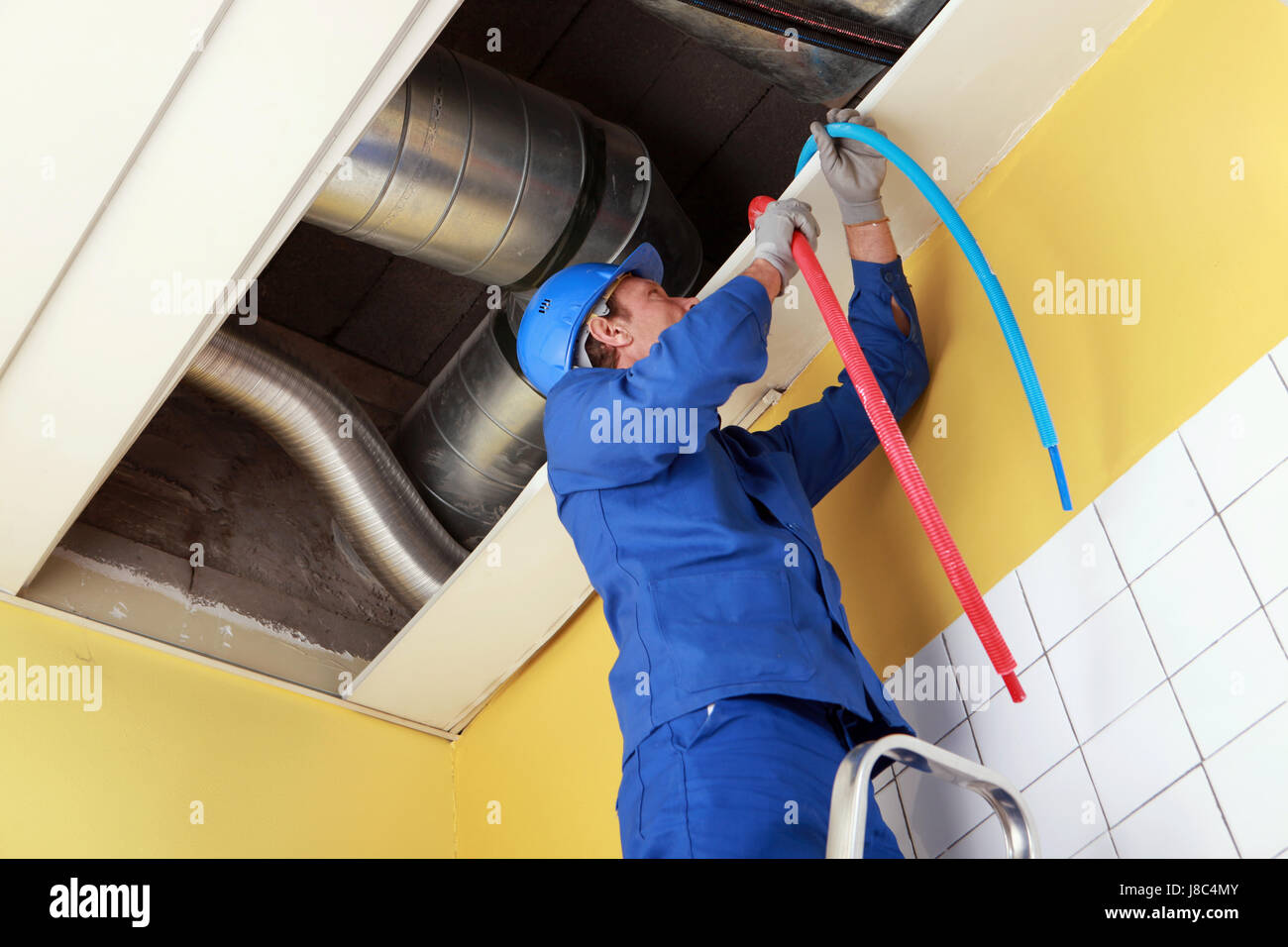 guy, male, masculine, standing, plumber, ladder, plumbing, ceiling, man ...