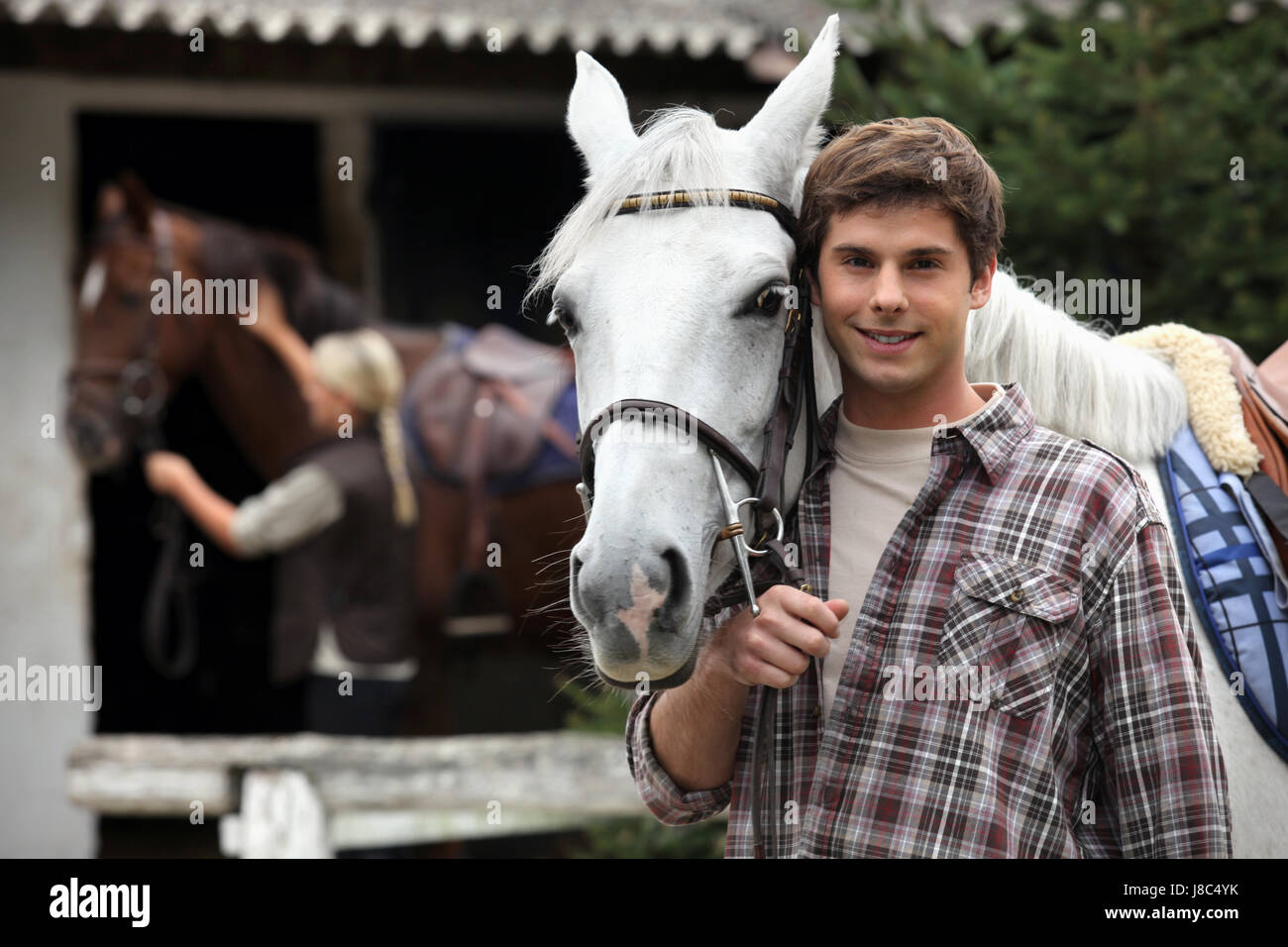 animal, country, association, club, breed, boy, lad, male youngster ...