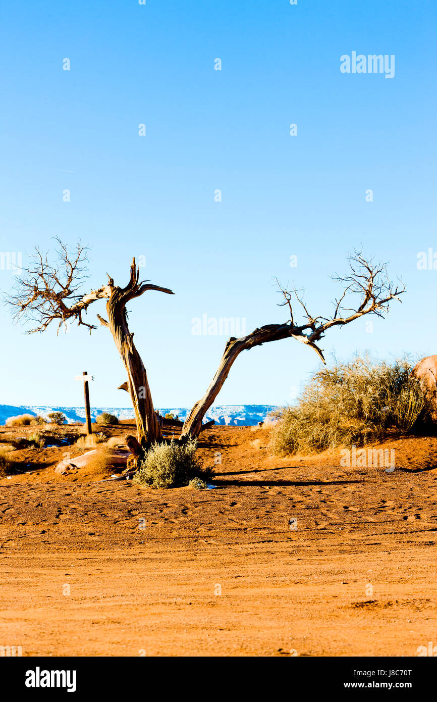 style of construction, architecture, architectural style, travel, tree ...