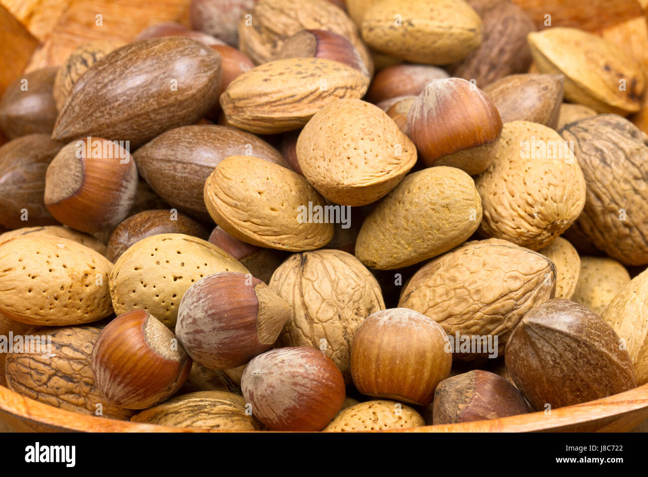 fruit, food, dish, meal, filbert, hazelnut, cob, natural, food, aliment ...