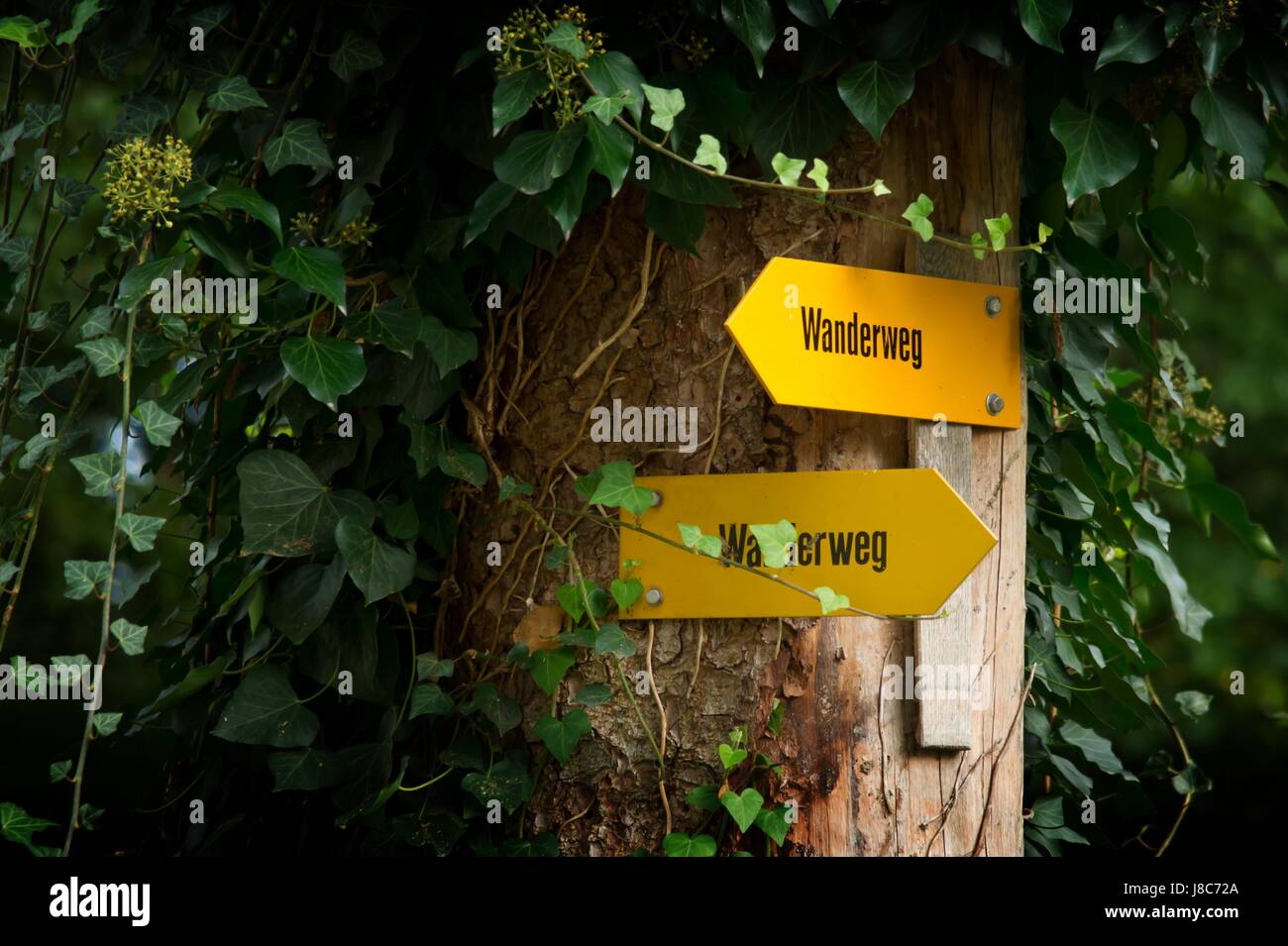 sign, signal, hike, go hiking, ramble, rambler, stroller, migrate ...