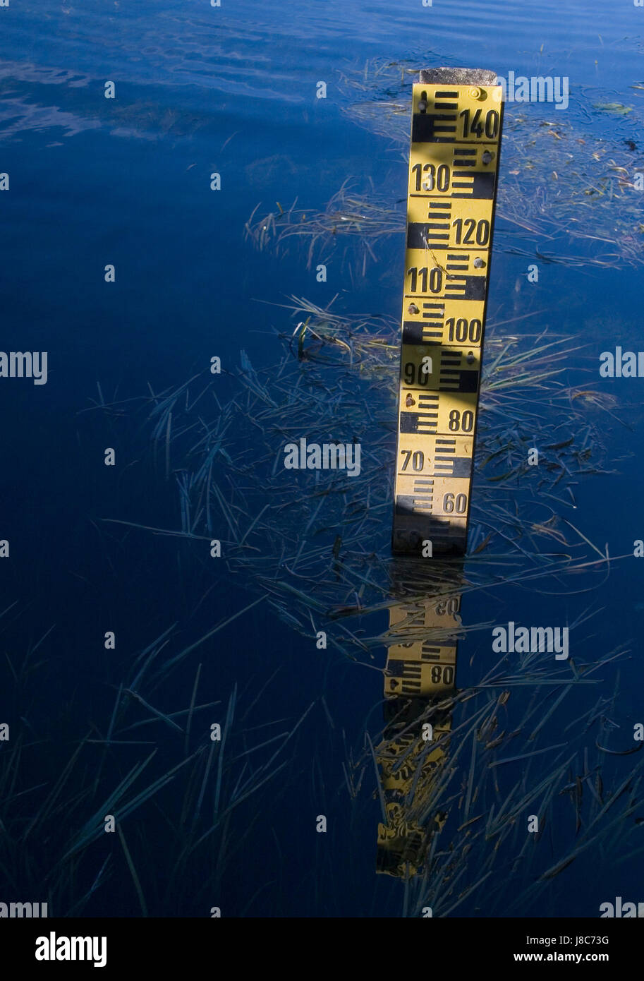 blue, algae, flood, seaweed, level, salt water, sea, ocean, water, blue ...