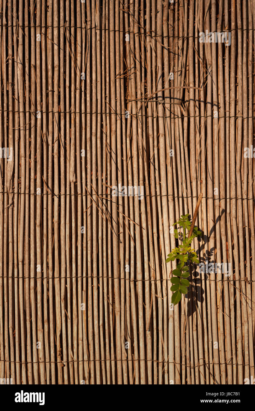 Hurdle fencing hi-res stock photography and images - Alamy