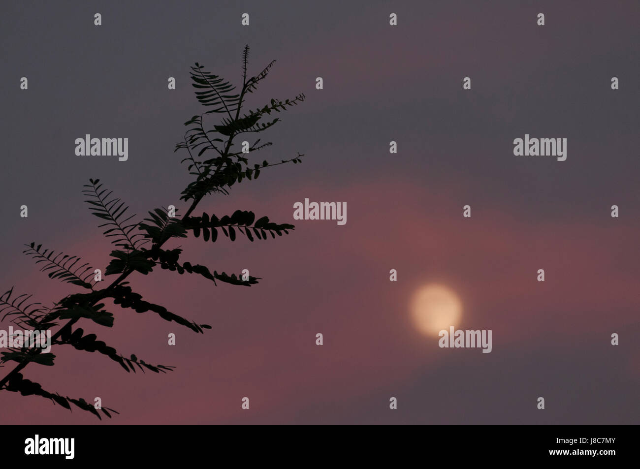 Horizontal moon nightfall nobody hi-res stock photography and images ...
