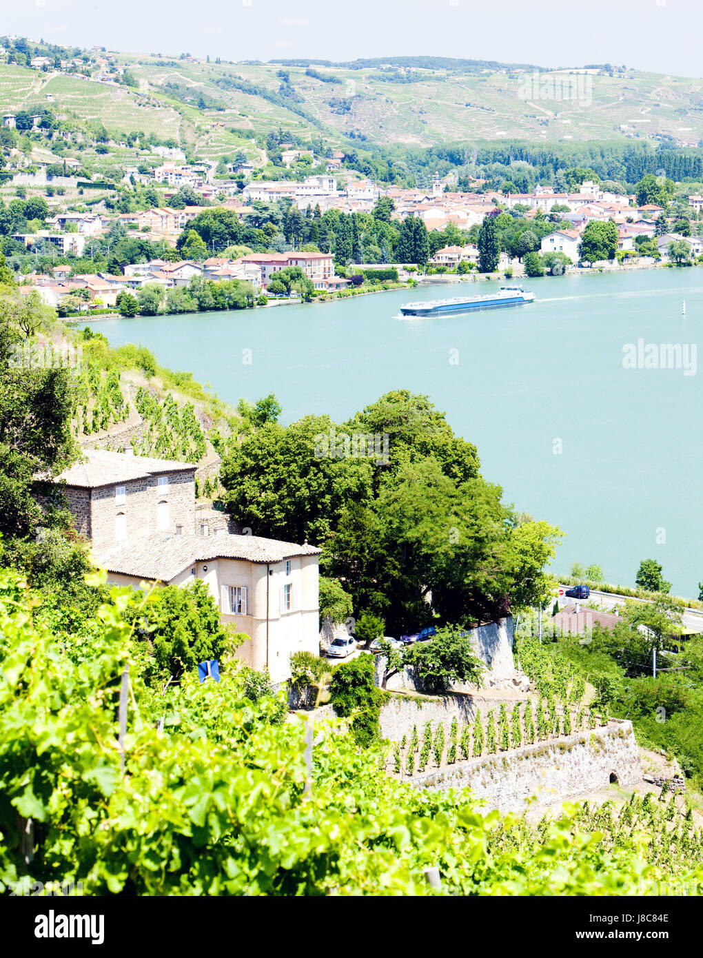 travel, agriculture, farming, vineyards, europe, vineyard, france ...