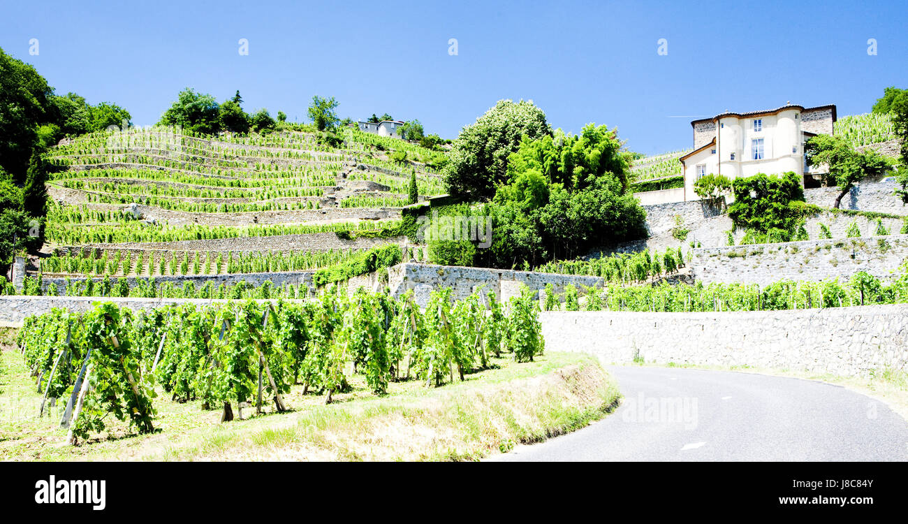 travel, buildings, agriculture, farming, vineyards, europe, vineyard ...
